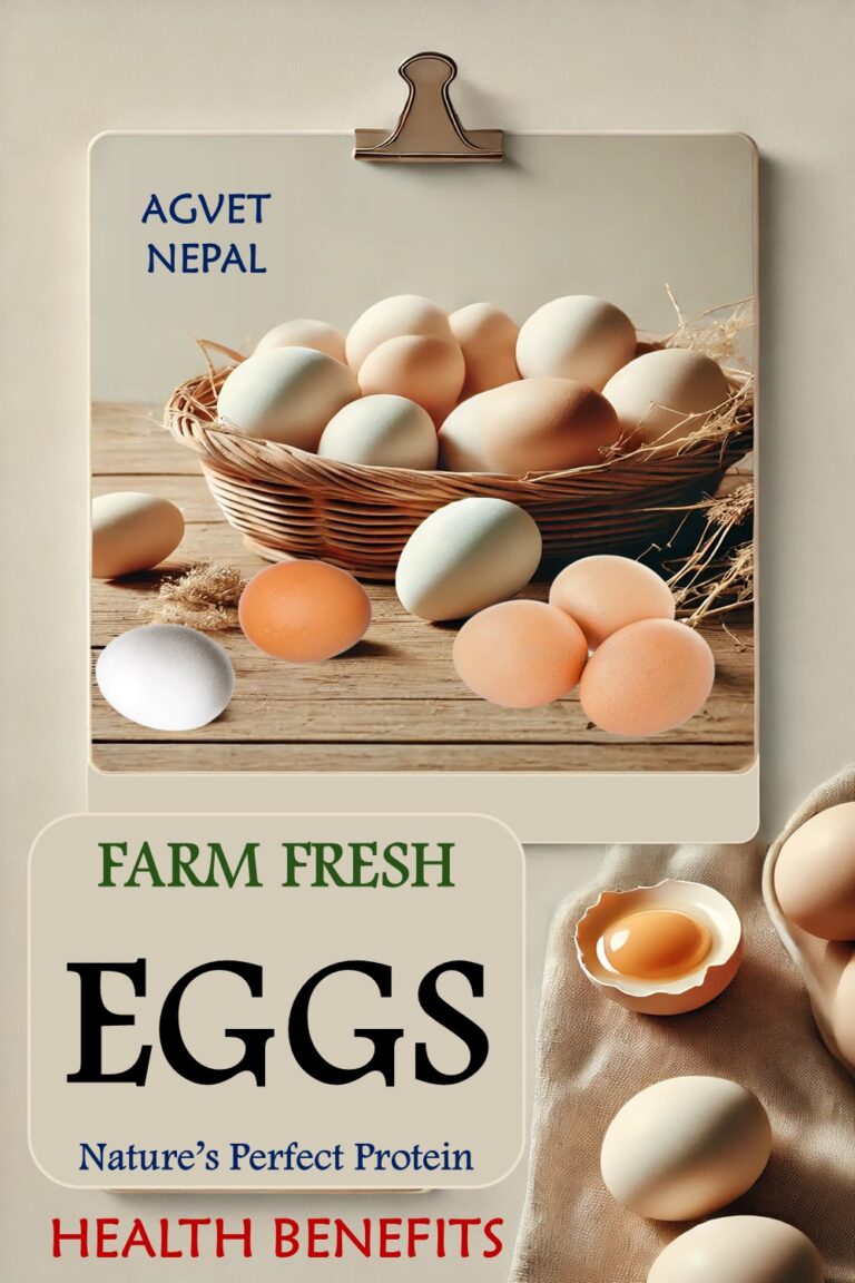 The Incredible Health Benefits of Eggs